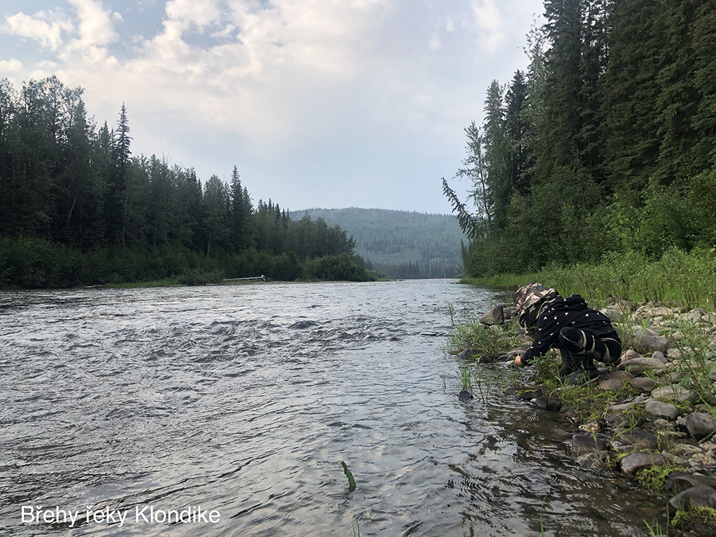 Český zlatokop na Yukonu | Články | Rýžování zlata RawGold CZ