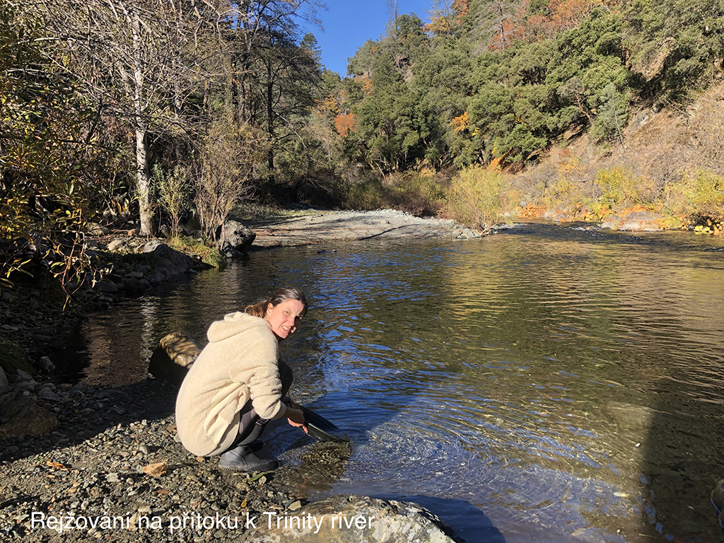 Český zlatokop na Yukonu | Články | Rýžování zlata RawGold CZ